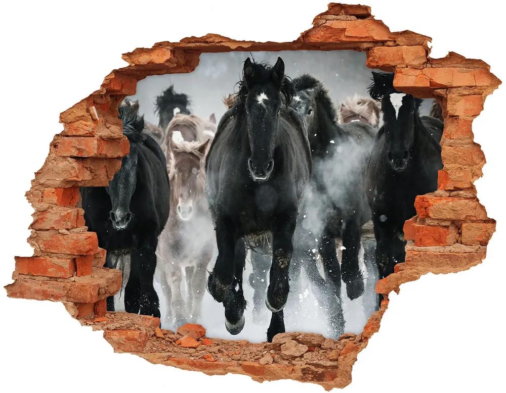 Wallmuralia Fototapeta díra na zeď Koně ve cvalu 90x70 cm