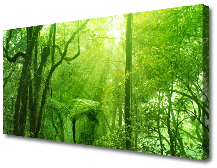 Obraz na plátně Stromy Příroda 125x50 cm