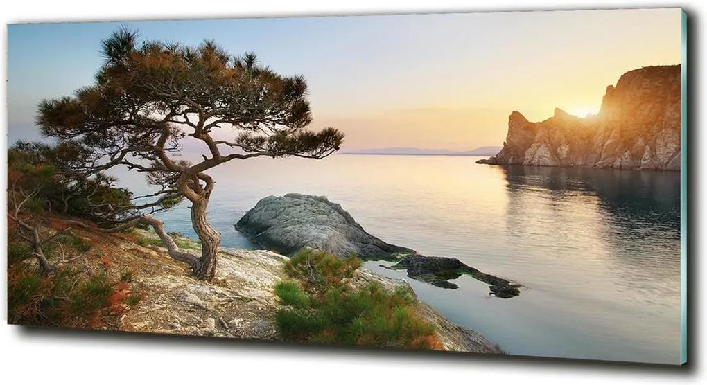 Fotoobraz na skle Strom nad mořem