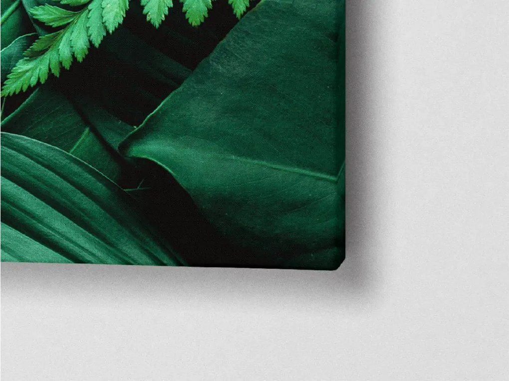 Obraz mix pokojových listů Rozměr: 120 x 80 cm