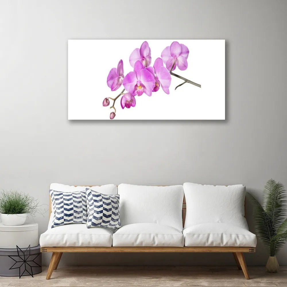 Plexisklo-obraz Vstavač Orchidej Květiny 100x50 cm