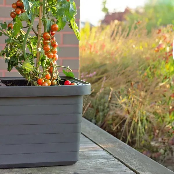 Samozavlažovací velkoobjemový truhlík Berberis TRIO antracit 117 cm