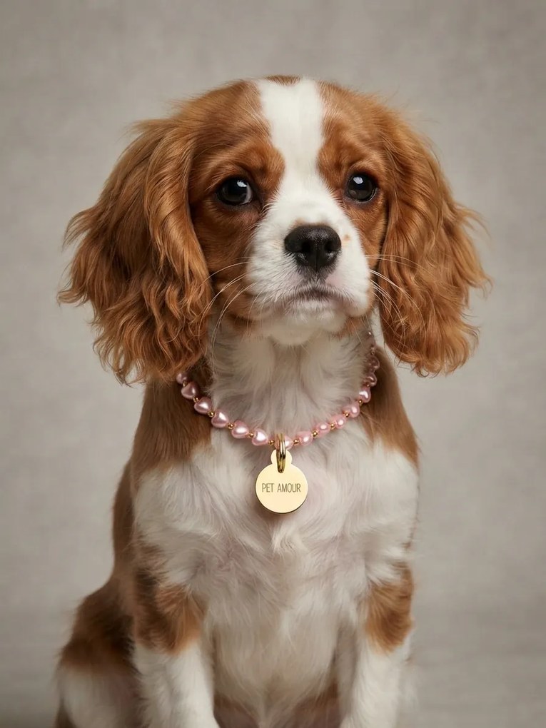 Pet Amour PA náhrdelník pro malé psy z perel srdíčko růžový Velikost: XS