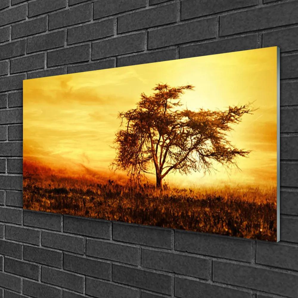 Obraz na skle Strom Příroda 100x50 cm