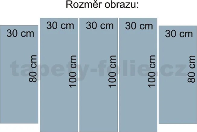 Obraz na plátně les 1128S12, rozměr 150 x 100 cm, IMPOL TRADE