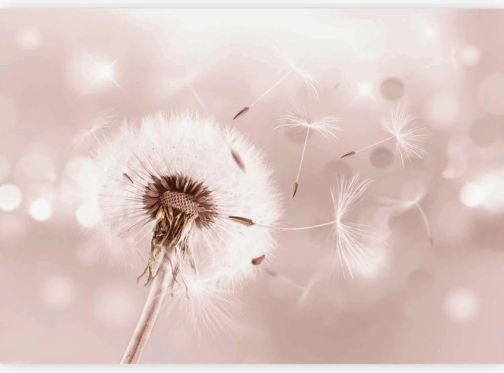 XXXLutz FOTOTAPETA velikost: 400/280 cm artgeist - Online Only tapety - 004875134701