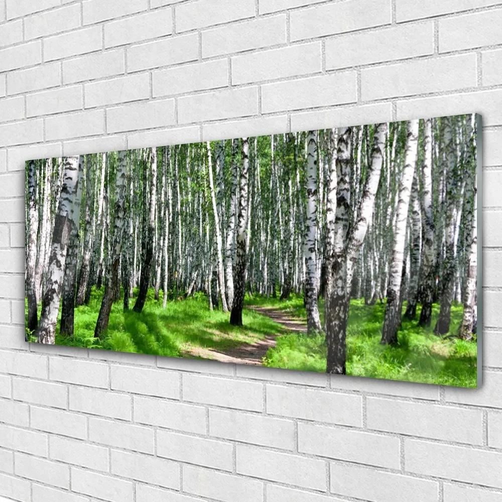 akrylový obraz Stromy Tráva Příroda 125x50 cm