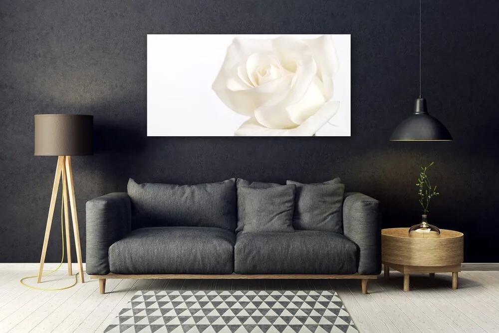 Plexisklo-obraz Růže Květiny 120x60 cm
