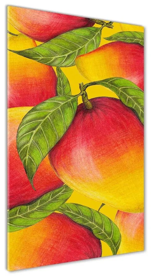 Wallmuralia Fotoobraz skleněný na stěnu do obýváku Mango 50x100 cm