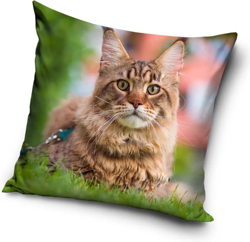 Dekorační polštářek Kočička V trávě