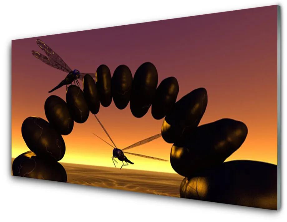 akrylový obraz Vážky Kameny Umění 100x50 cm