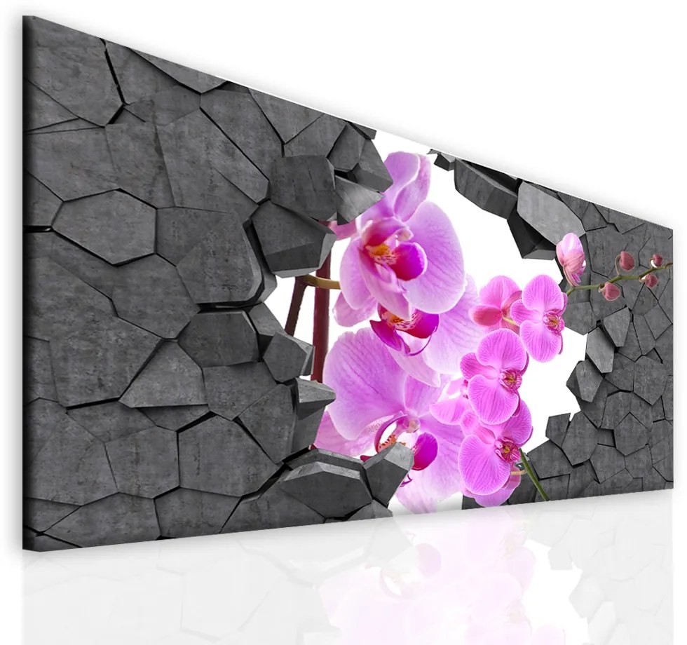 Obraz orchidej ve zdi (100x50 cm) - InSmile ®