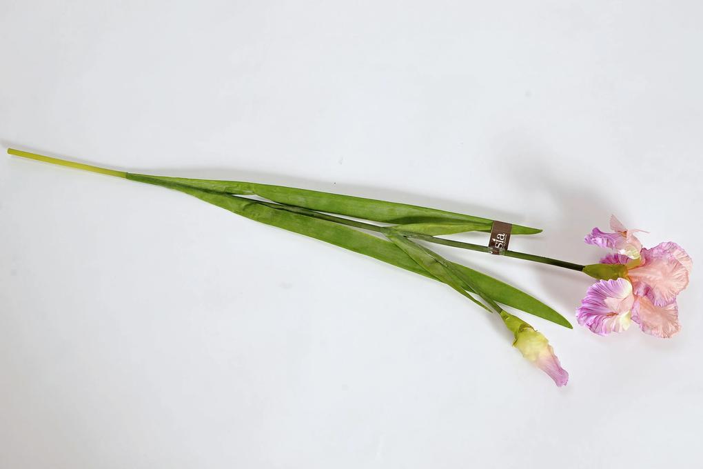Hitra Květina KOSATEC růžový 90cm