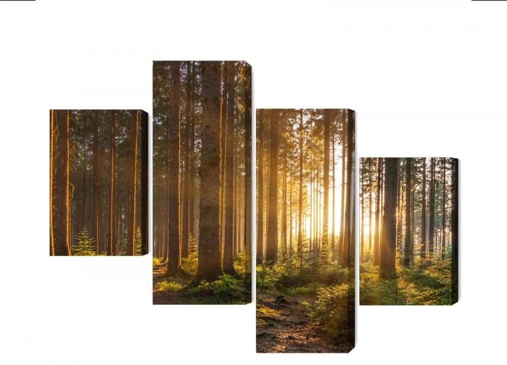 Vícedílný obraz Západ Slunce V Lese Nedostatek Nedostatek Přírodní plátno 240x150