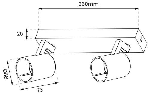 Bodové svítidlo VOLF 2xGU10/10W/230V bílá