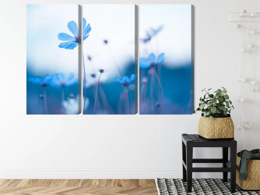 Vícedílný obraz Jemné Modré Květy Nedostatek Nedostatek Plátno Canvas 60x40