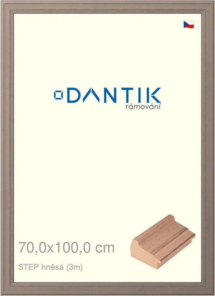 DANTIK rámeček 70x100 | STEP hnědá (Plexi Čiré)