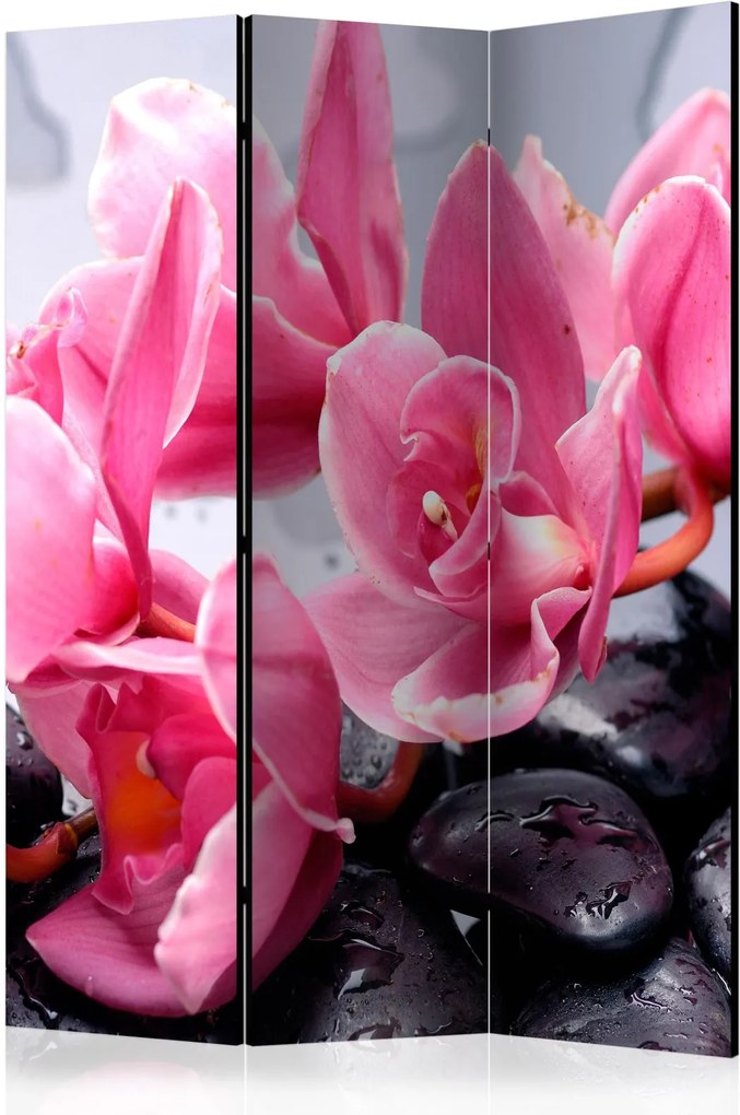 Paraván - Orchid flowers with zen stones [Room Dividers] 135x172