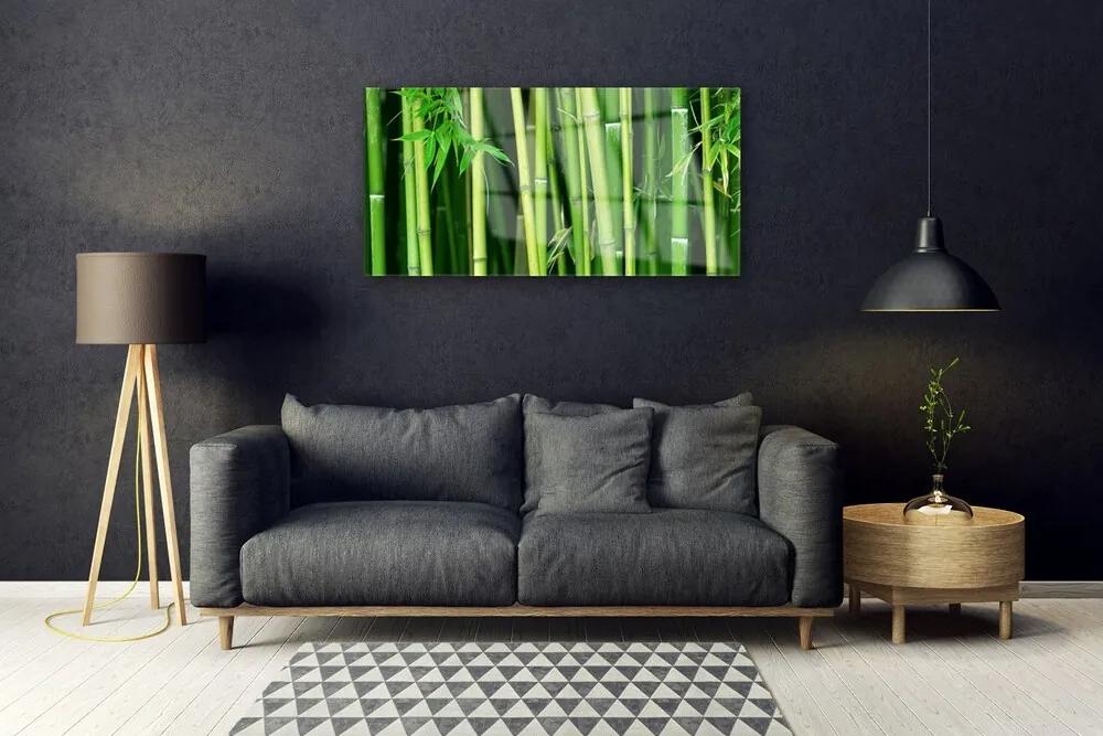 Obraz na skle Bambusový Les Bambus Příroda 120x60 cm