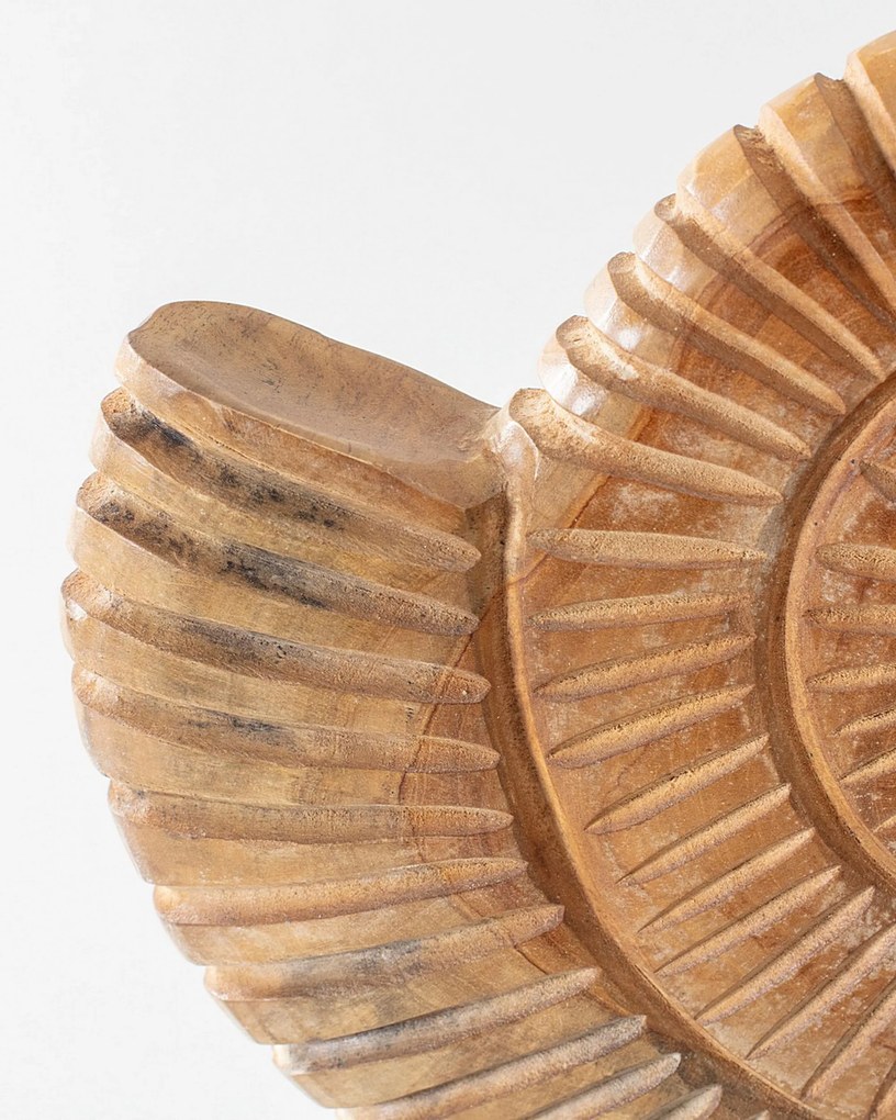 Dekorace Fossil 45 cm