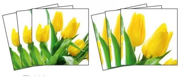 TI 008 Dekorace - samolepky na kachličky - Tulipány | 15 x 15 cm | žlutá, bílá, zelená