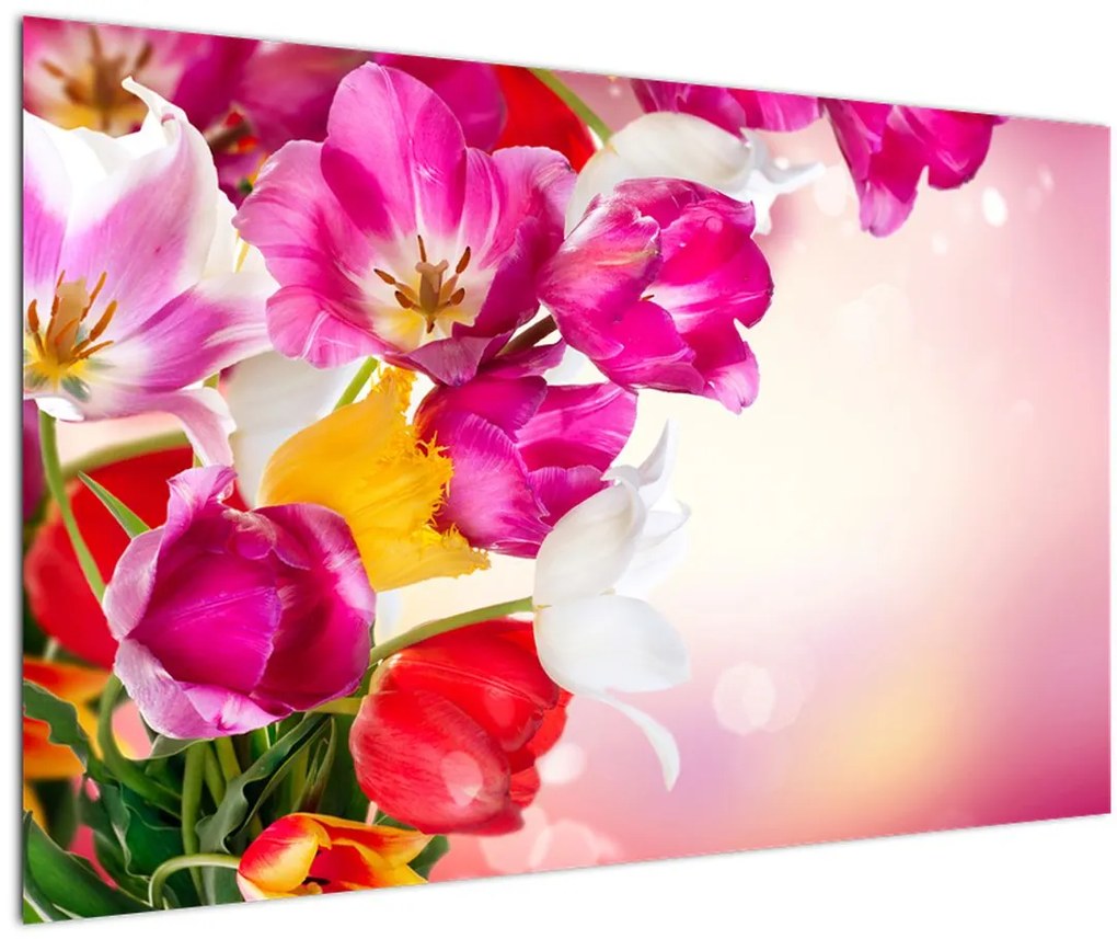 Obraz tulipánů (120x80 cm), 40 dalších rozměrů