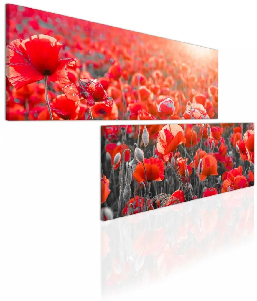 Malvis ® Dvoudílný obraz vlčí mák Velikost (šířka x výška): 120x60 cm