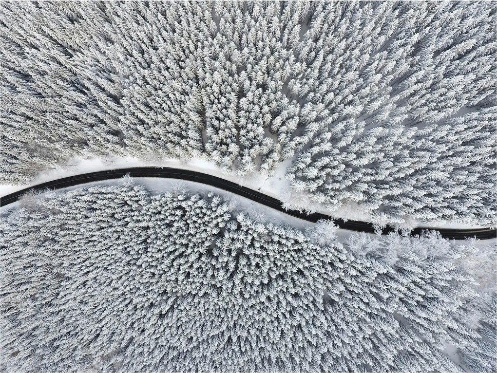 Tomáš Neuwirth | Mrazivá cesta Rám: Černý, Velikost: 50 x 70 cm