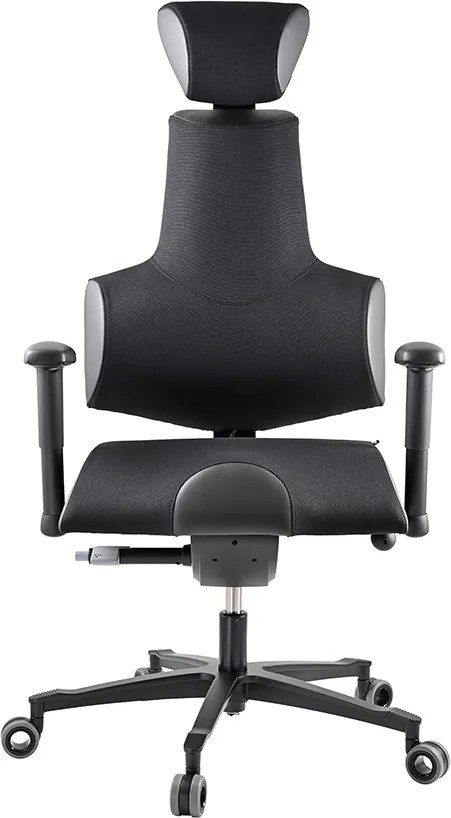Prowork Zdravotní židle THERAPIA SENSE LS V (195 - 205 cm) - na míru, HX50/CX19 black