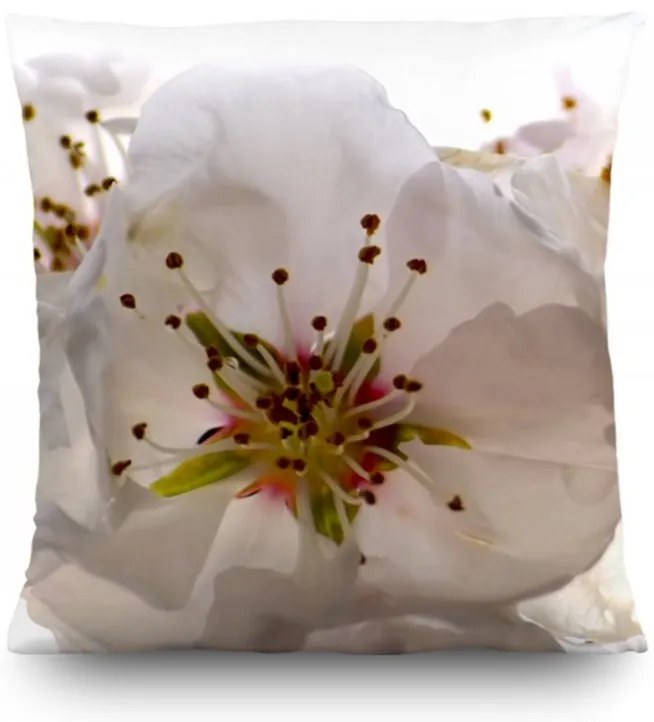 Fotopolštář květy jabloně CN3606/ Dekorativní polštář Flowers CN-3606 45x 45 cm AG Design