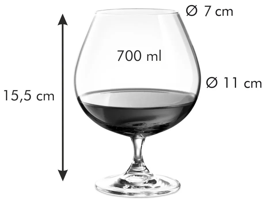TESCOMA Sklenice na koňak CHARLIE 700 ml