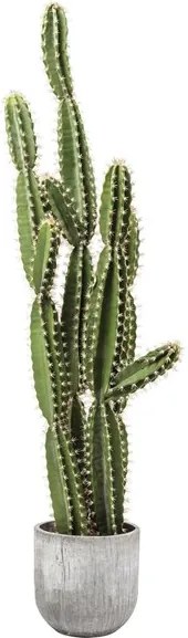 Dekorativní předmět Plant Cactus Pot 202 cm