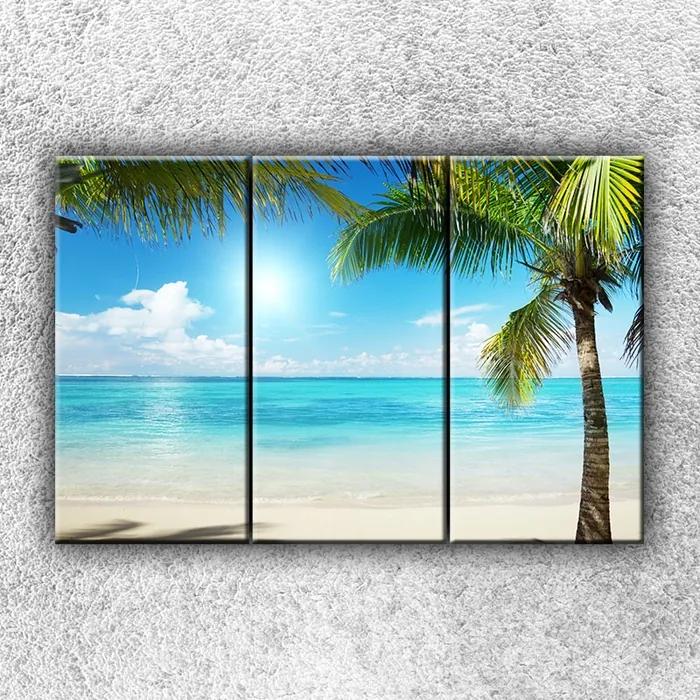 3 dílný obraz Palmy na pláži
