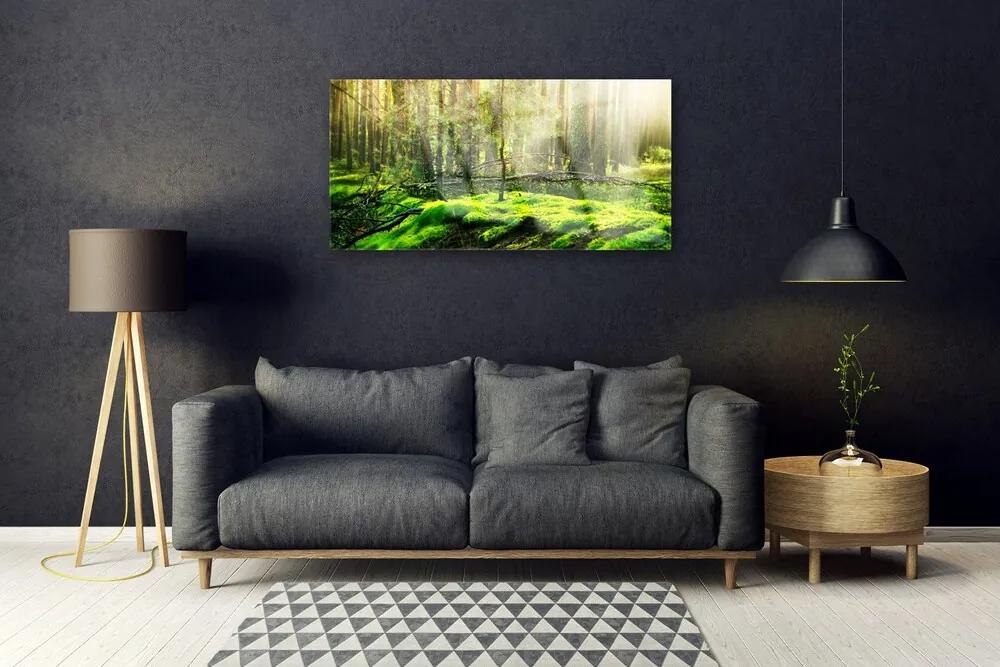 Obraz na skle Mech Les Příroda 120x60 cm