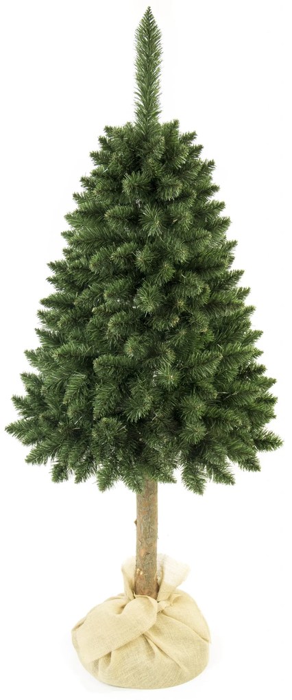 Vánoční stromek Borovice na pníku 220 cm