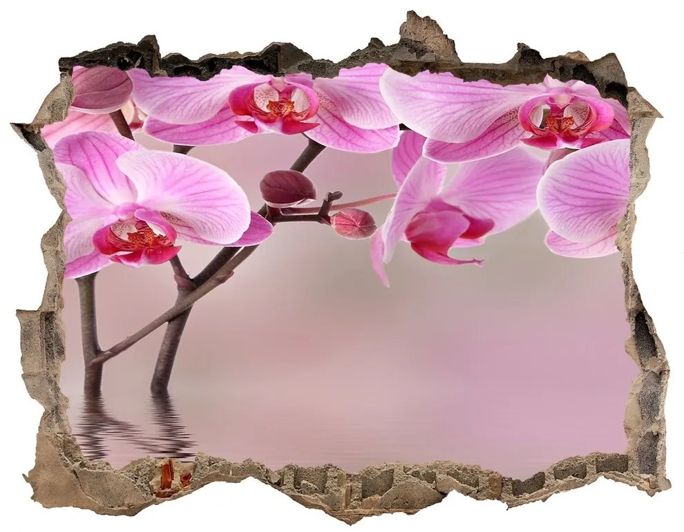 Wallmuralia Samolepící díra na stěnu Růžová orchidej 95x64 cm