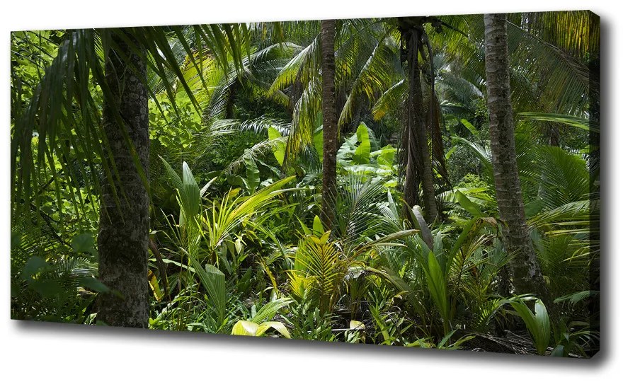 Wallmuralia Foto obraz na plátně Tropický les 100x50