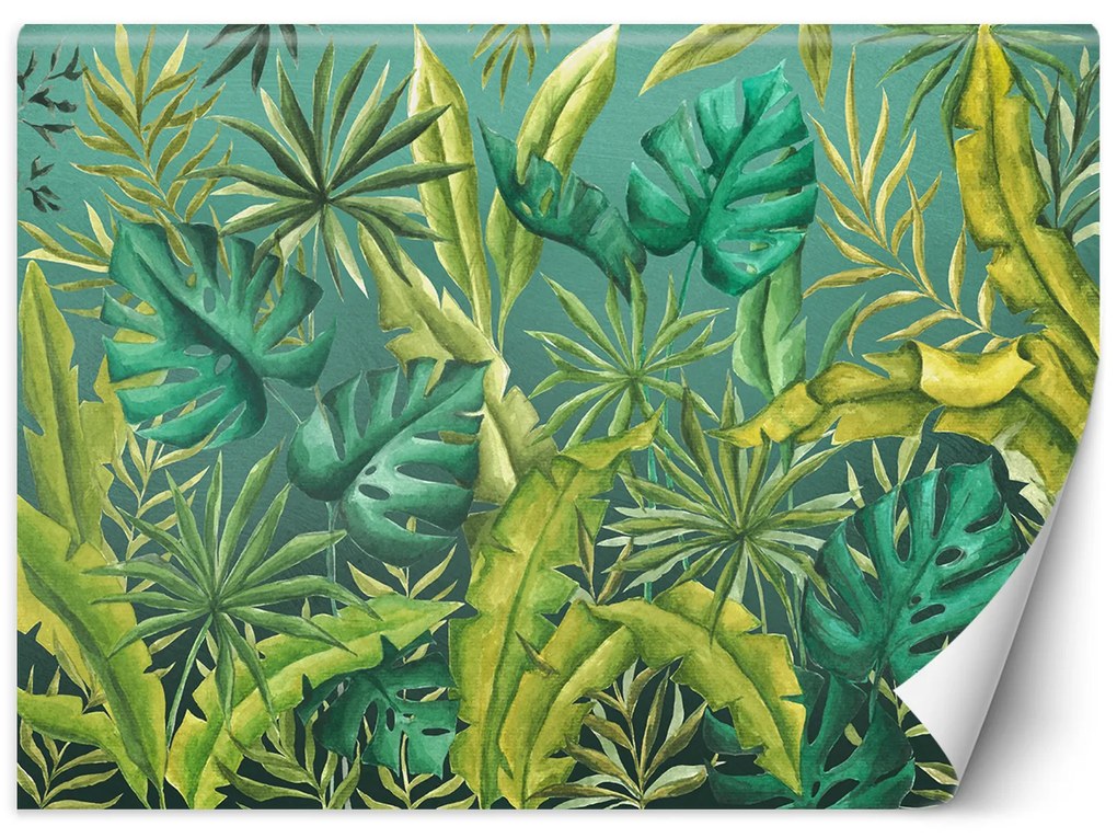 Gario Fototapeta Zelené monstery na tmavě zeleném pozadí Materiál: Vliesová, Rozměry: 200 x 140 cm