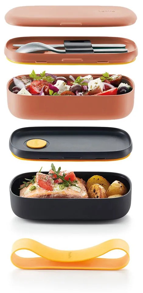 Svačinový box Lékué Lunch Box To Go | lososový