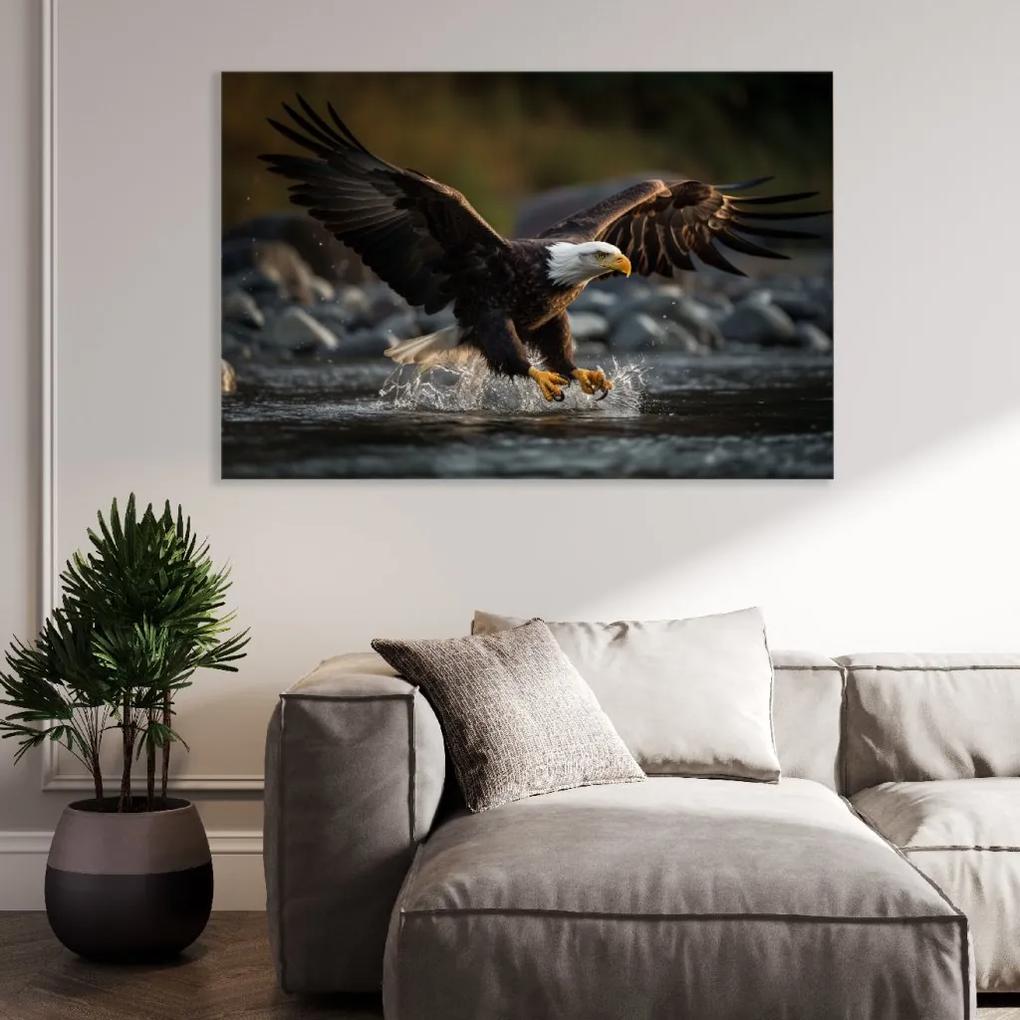 Obraz na plátně - Orel bělohlavý na lovu FeelHappy.cz Velikost obrazu: 120 x 80 cm