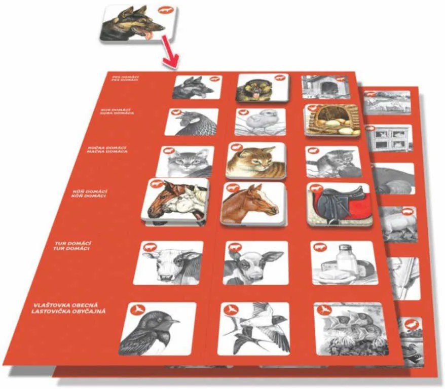 EFKO Hra naučná Pexetrio Zvířátka na statku *SPOLEČENSKÉ HRY* ef8807