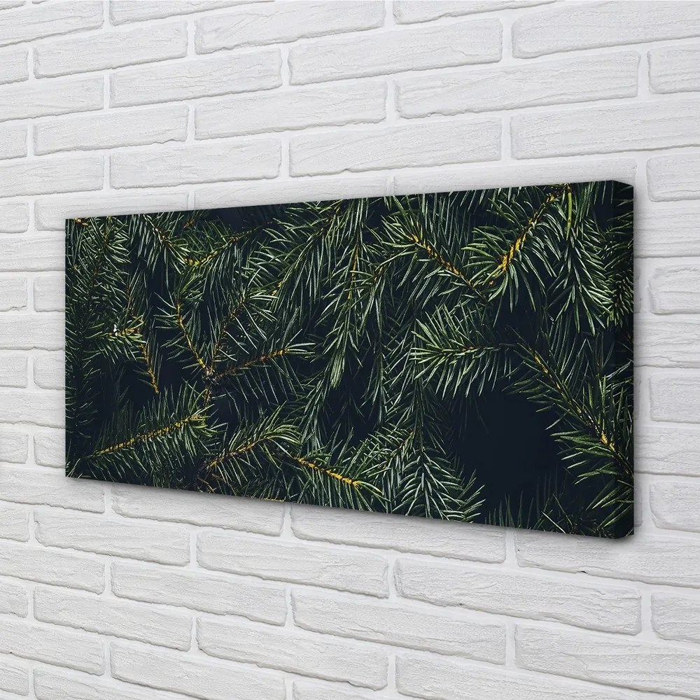 Obrazy na plátně Vánoční strom větvičky 120x60 cm