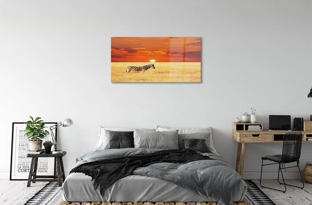Obraz na skle Zebra pole sunset 100x50 cm