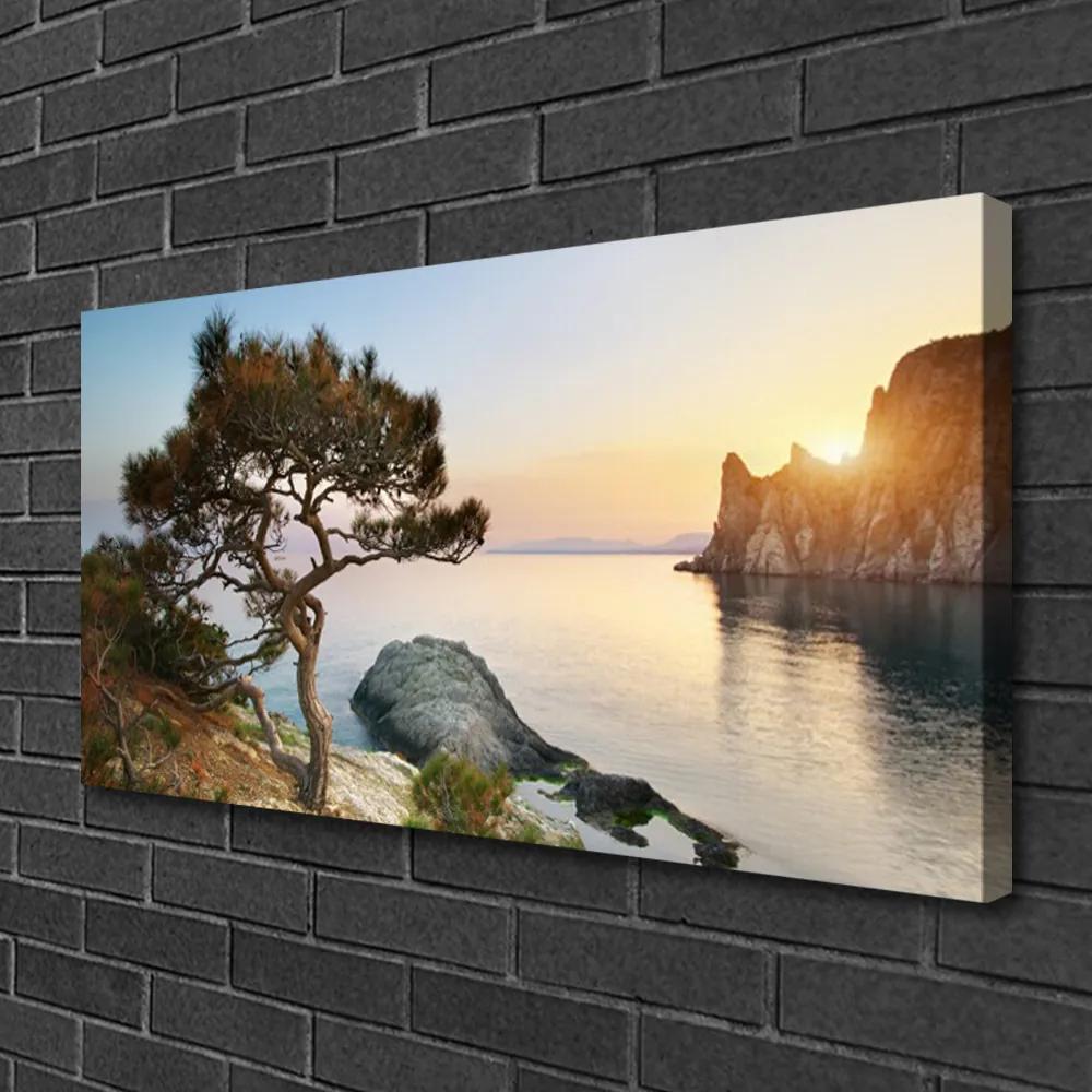 Obraz na plátně Jezero Strom Krajina 120x60 cm