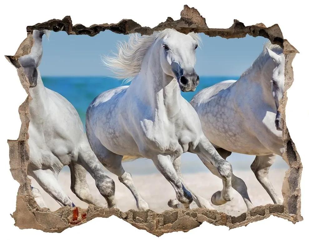 Wallmuralia Nálepka fototapeta 3D Bílí koně pláž 95x64 cm