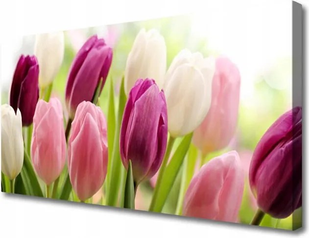 Obraz Plátno Canvas Fotografie Tulipány Květiny Louka Foto 140x70