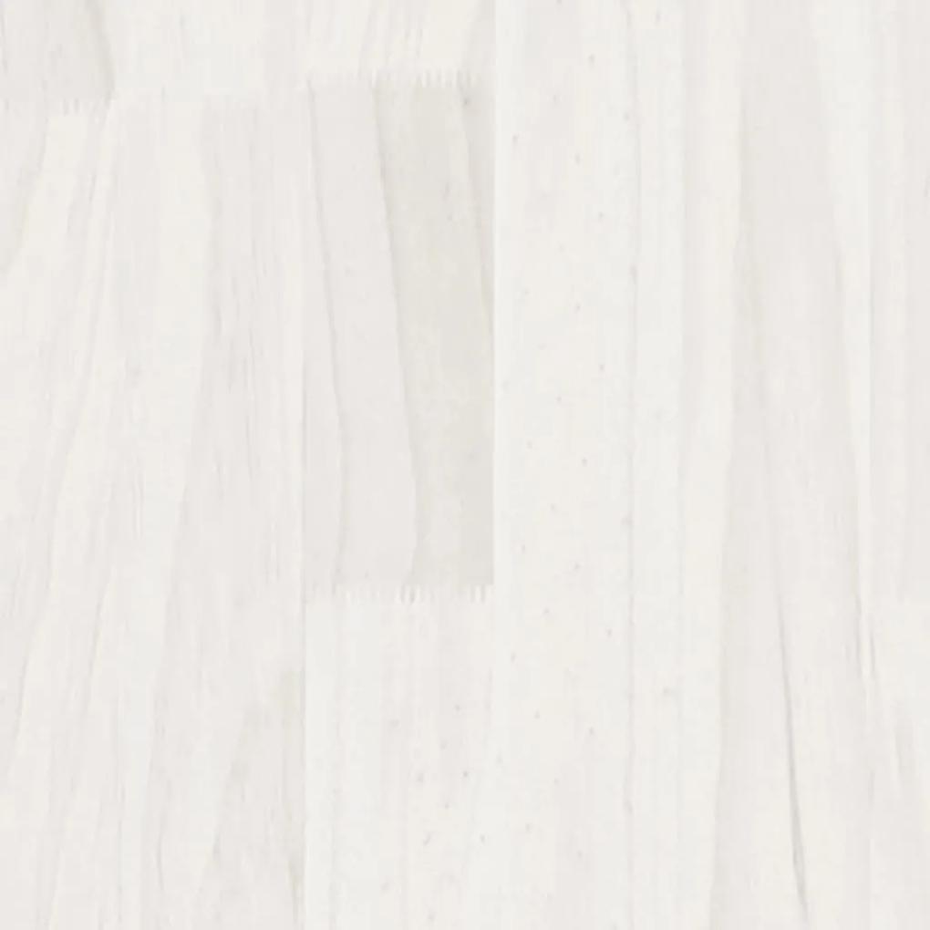 Knihovna / dělicí stěna bílá 60 x 35 x 167 cm masivní borovice