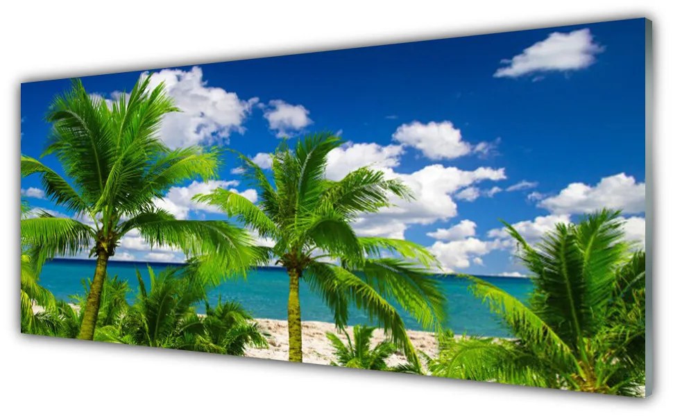 akrylový obraz Moře Palma Stromy Krajina 125x50 cm