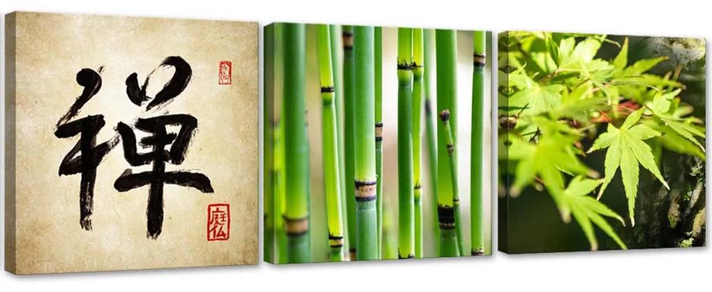 Gario Sada obrazů na plátně Zelená asie - 3 dílná Rozměry: 90 x 30 cm