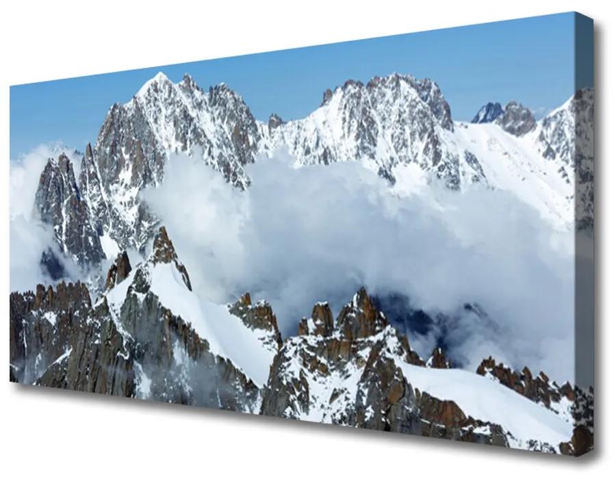 Obraz na plátně Hory krajina 100x50cm